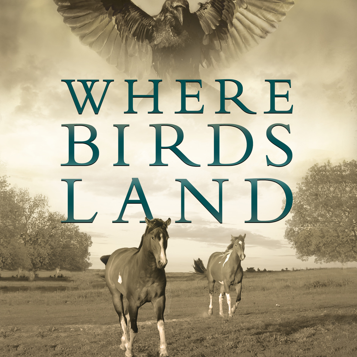 Where Birds Land – Aachompa'